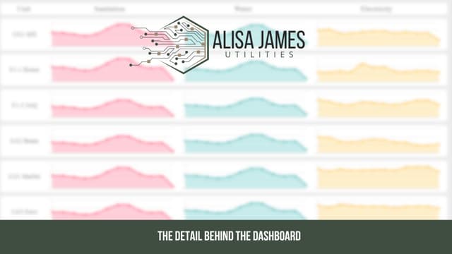 Alisa James